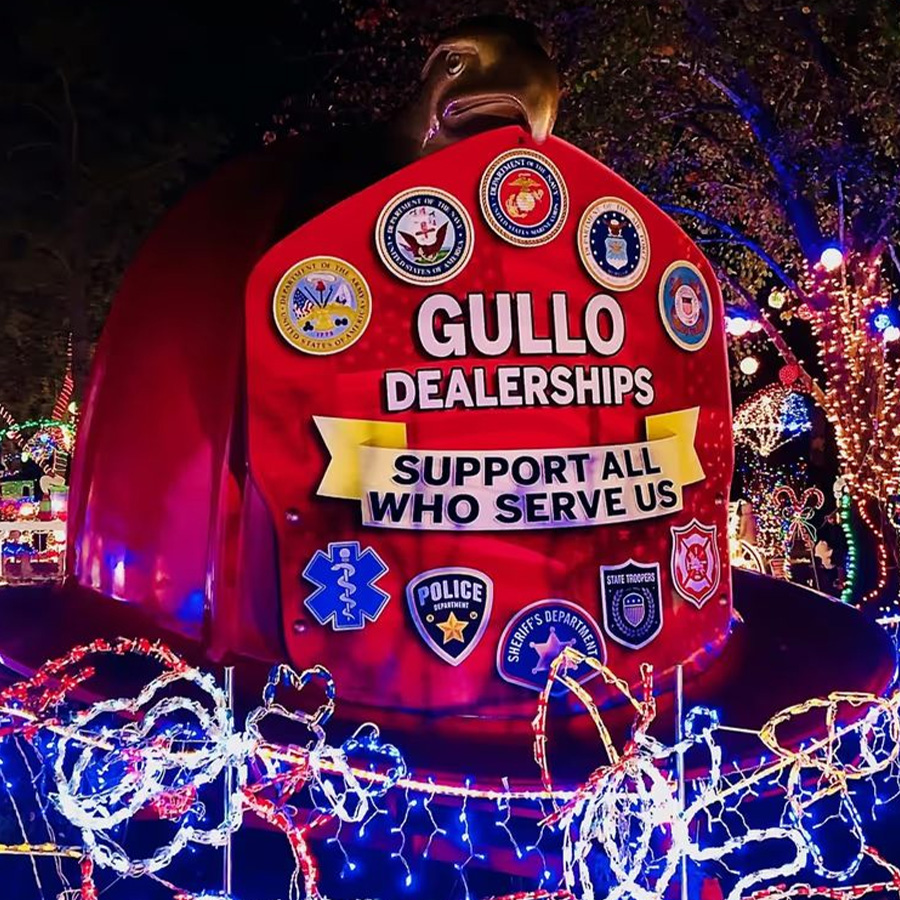 Gullo House Christmas Lights Reviews