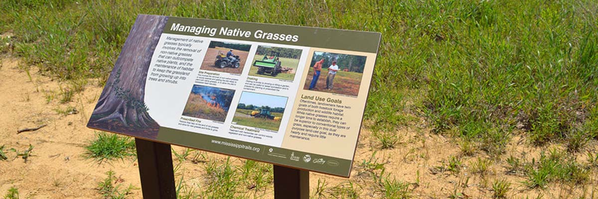 Native Prairie Project | Baxter Toyota La Vista in Nebraska